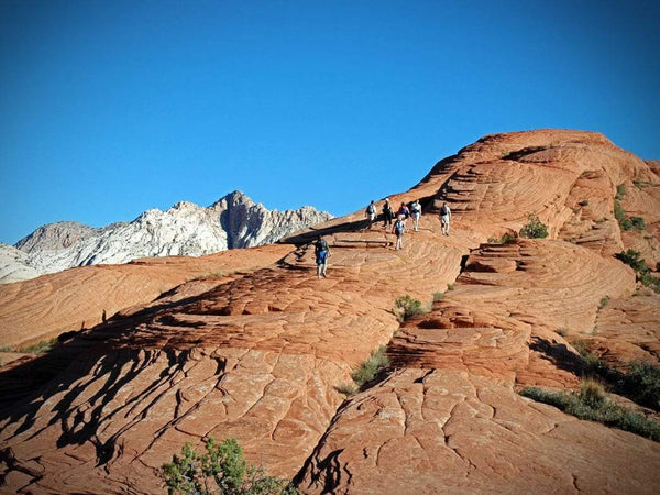 12 Outdoor Experiences That You Can Have at Utah's Red Mountain Resort ...